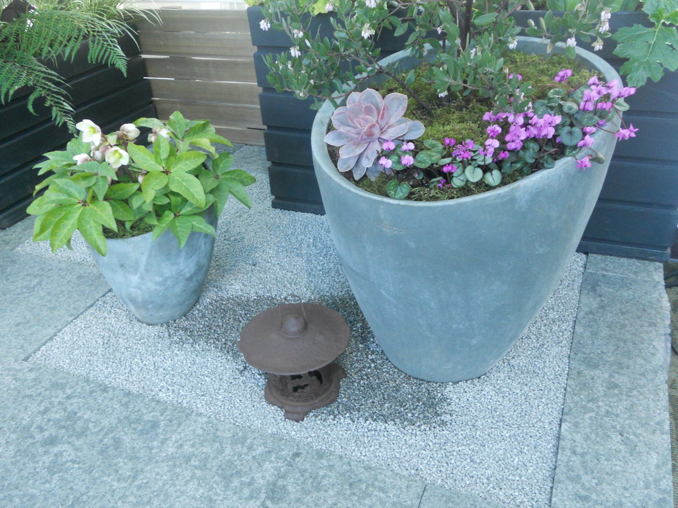 Container Gardens - Modern - Landscape - Seattle - by Studio AB | Houzz