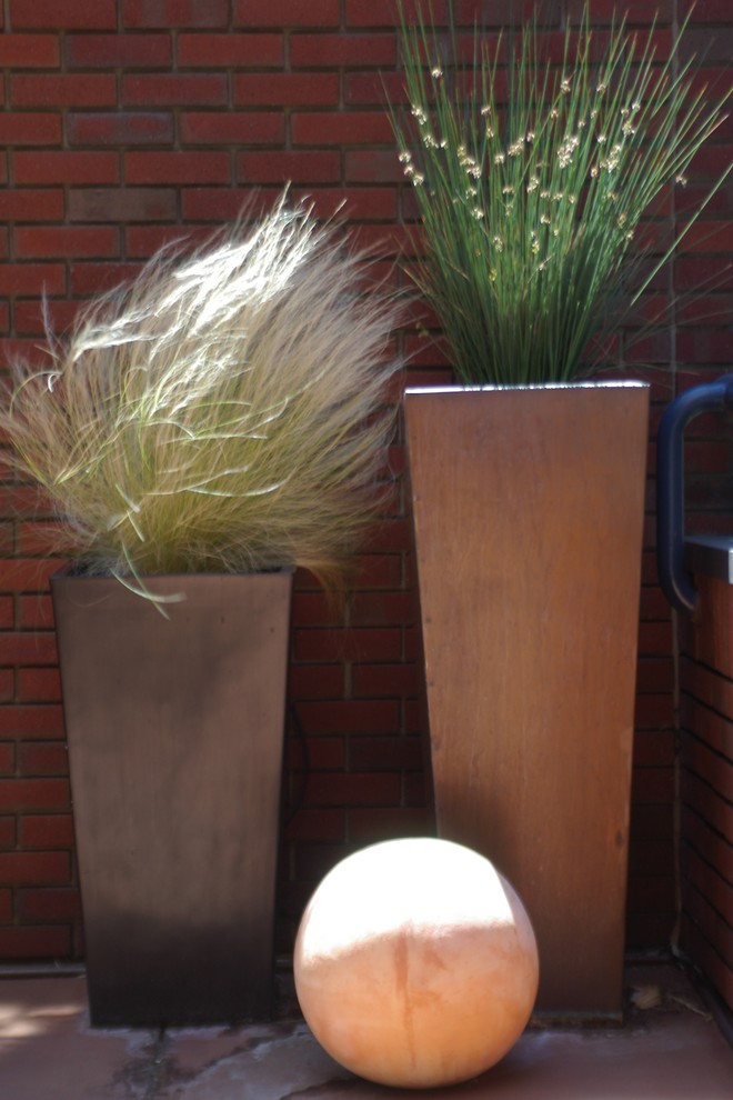 Container Gardens - Modern - Landscape - San Francisco - by The Garden ...
