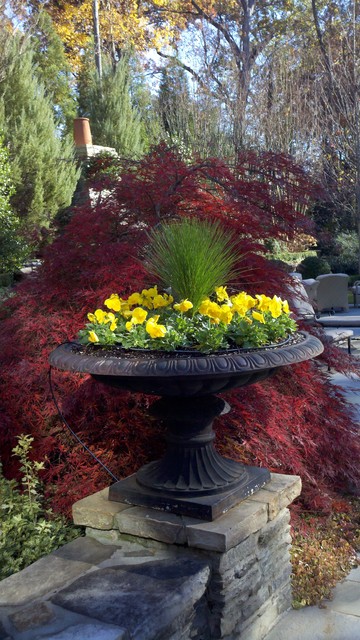 Container Gardens - Classique - Jardin - Atlanta - par Tim Wolfe Design ...
