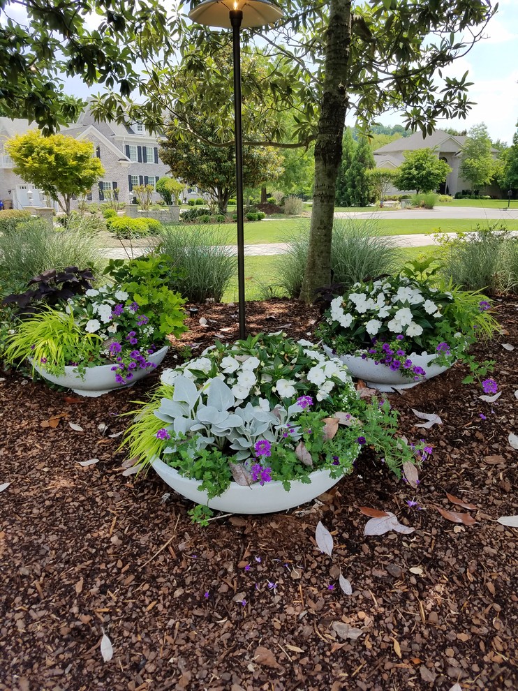 Container Gardens - Traditional - Landscape - Dallas - by Who Did Your ...