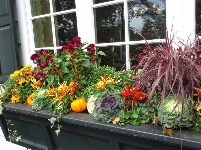 Container Plantings - Classique - Jardin - New York - par Tina M. Yotka ...