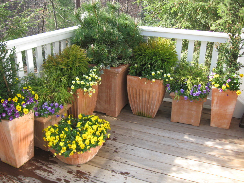 Containers - Traditional - Landscape - Charlotte - by Rubner's Nursery ...