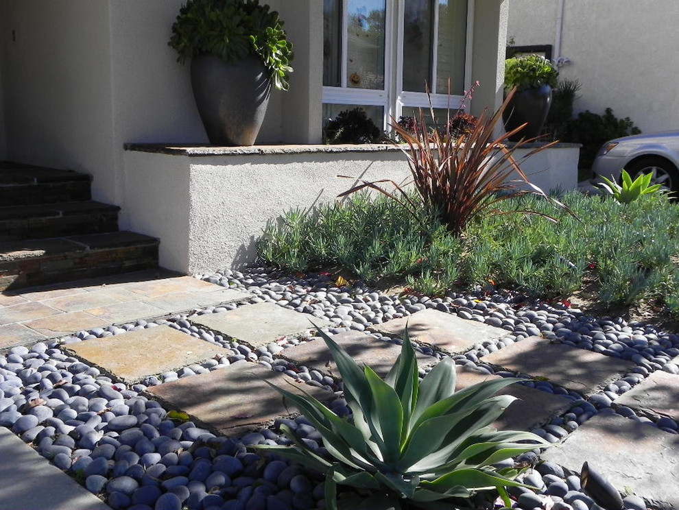 Contemporary and xeriscape - Contemporary - Landscape - Los Angeles ...