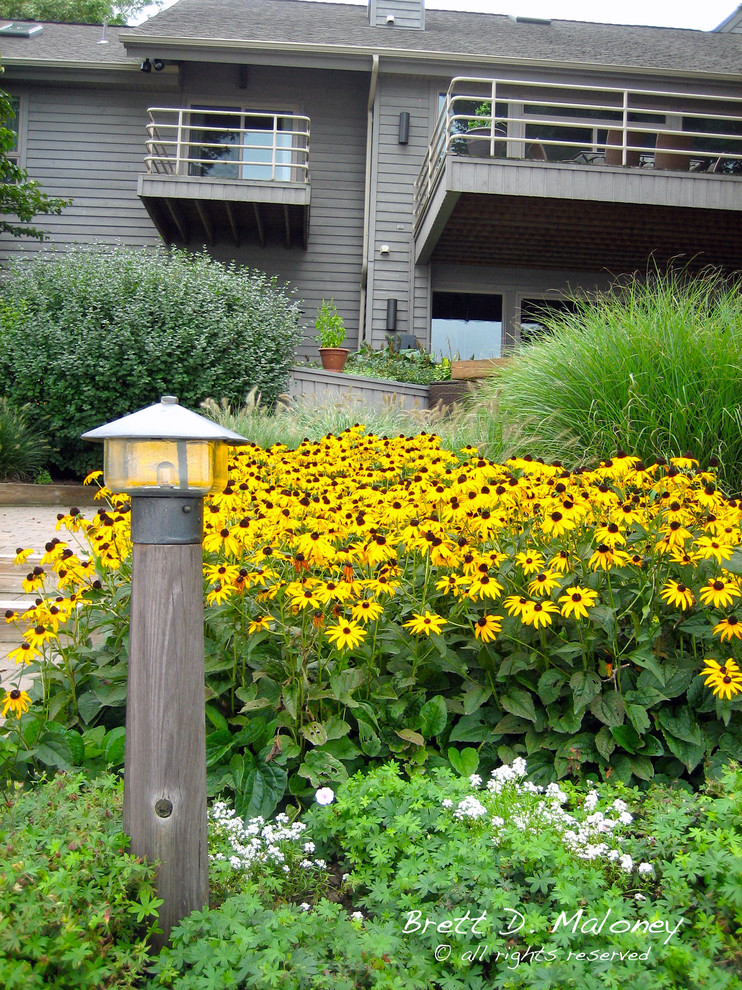 Contemporary Beach Front Garden - Beach Style - Landscape - Other - by ...