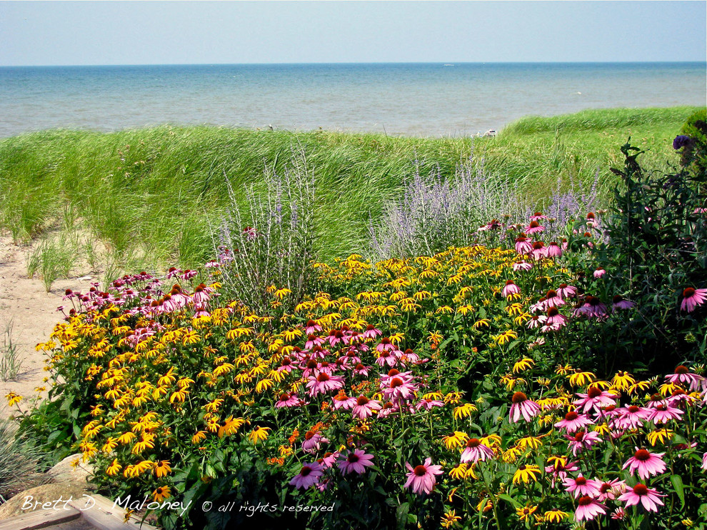 Contemporary Beach Front Garden - Beach Style - Landscape - Other - by ...