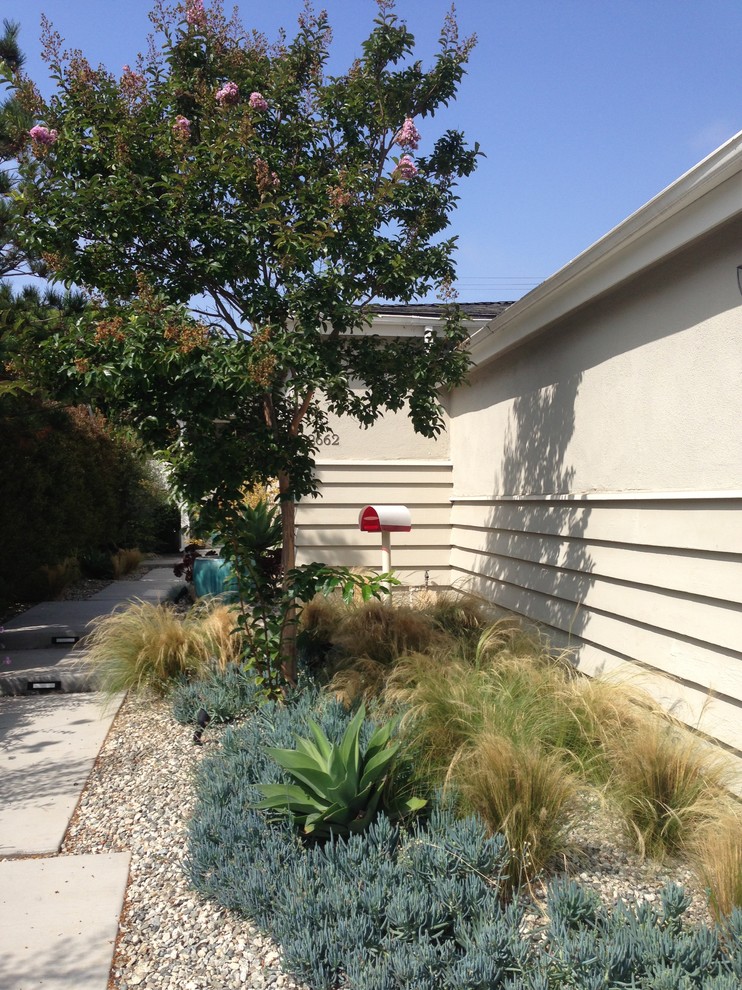 Contemporary Front Entry - Contemporary - Landscape - Los Angeles - by ...