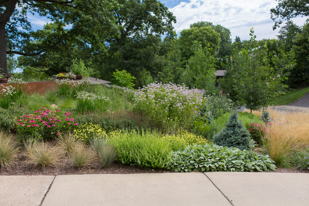 Contemporary Front Yard Meadow - Contemporary - Landscape - Minneapolis ...