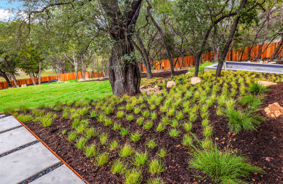 Contemporary Hill Country - Contemporary - Landscape - Austin - by ...
