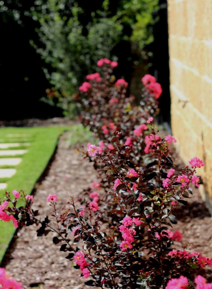 Contemporary Landscape Design - Contemporary - Landscape - Dallas - by ...