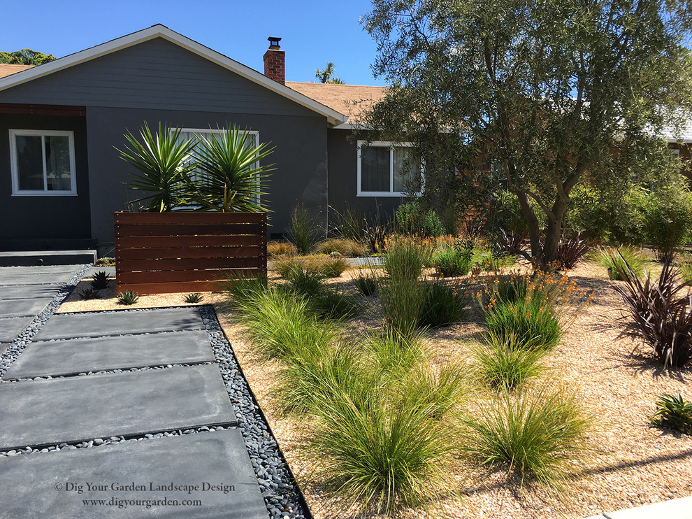 Contemporary Landscape - Dramatic Transformation - San Rafael, CA ...