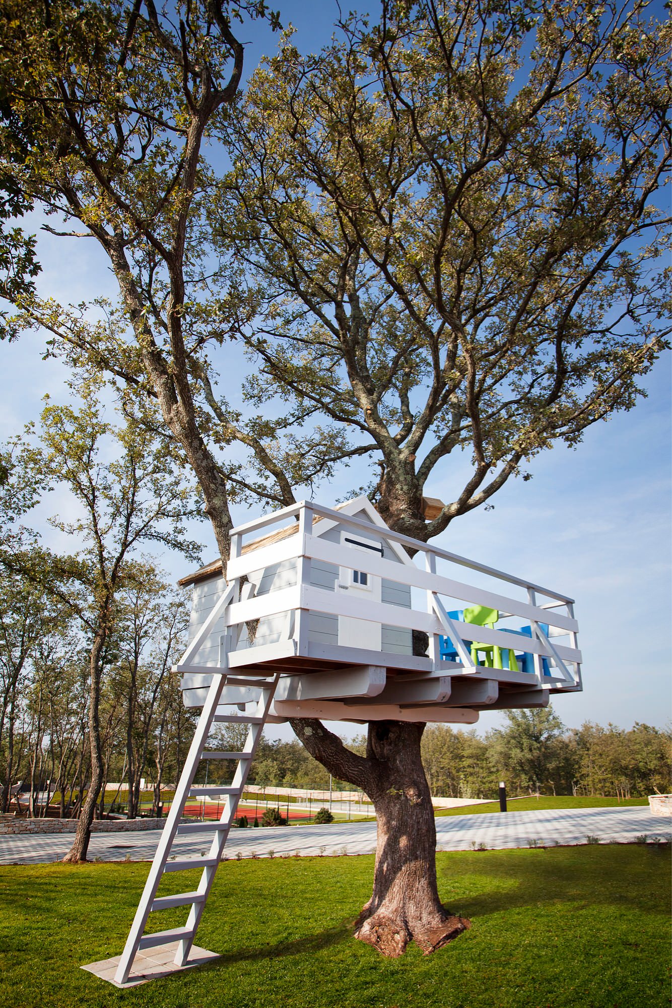 Casa Del árbol De Hora De Aventura Por Dentro