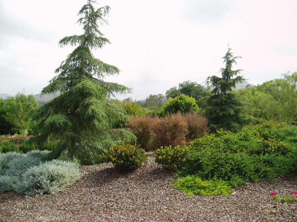 Contemporary Rancho Santa Fe Landscape - Xeriscape - Contemporary ...