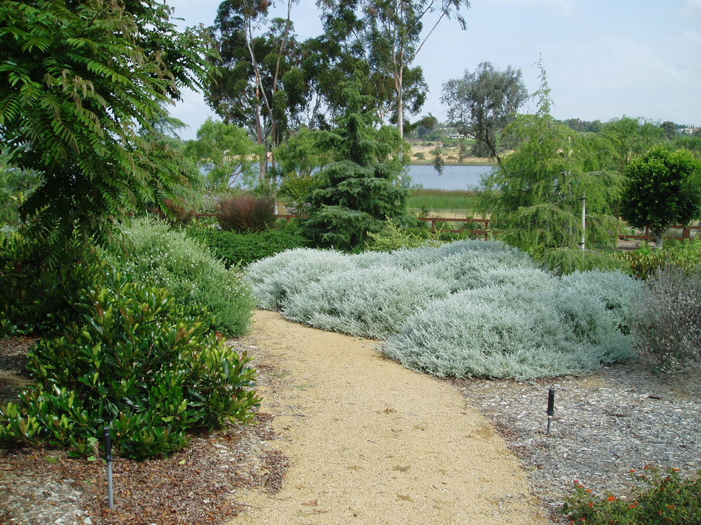 Contemporary Rancho Santa Fe Landscape - Xeriscape - Contemporary ...