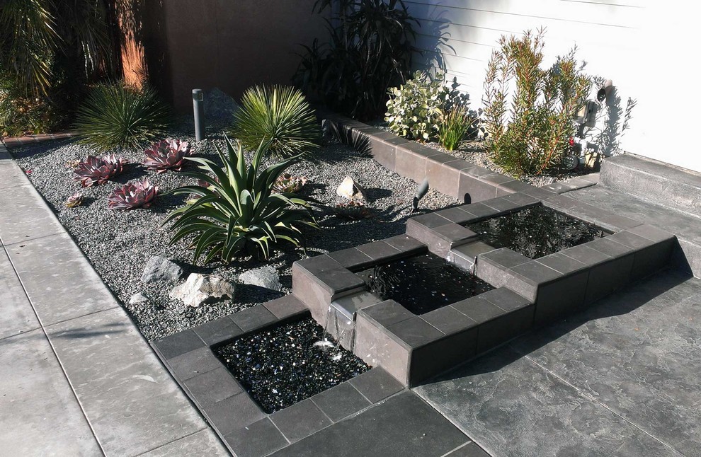 Contemporary Xeriscape - Contemporary - Landscape - San Diego - by ...