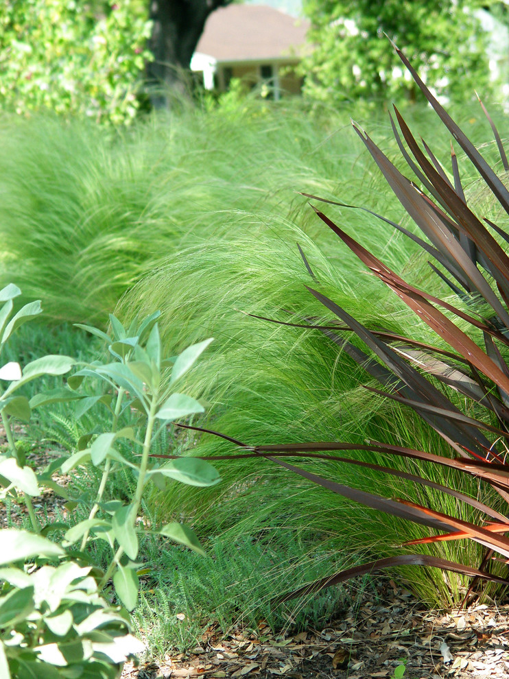 Copper Garden - Contemporary - Landscape - Los Angeles - by Minanda ...