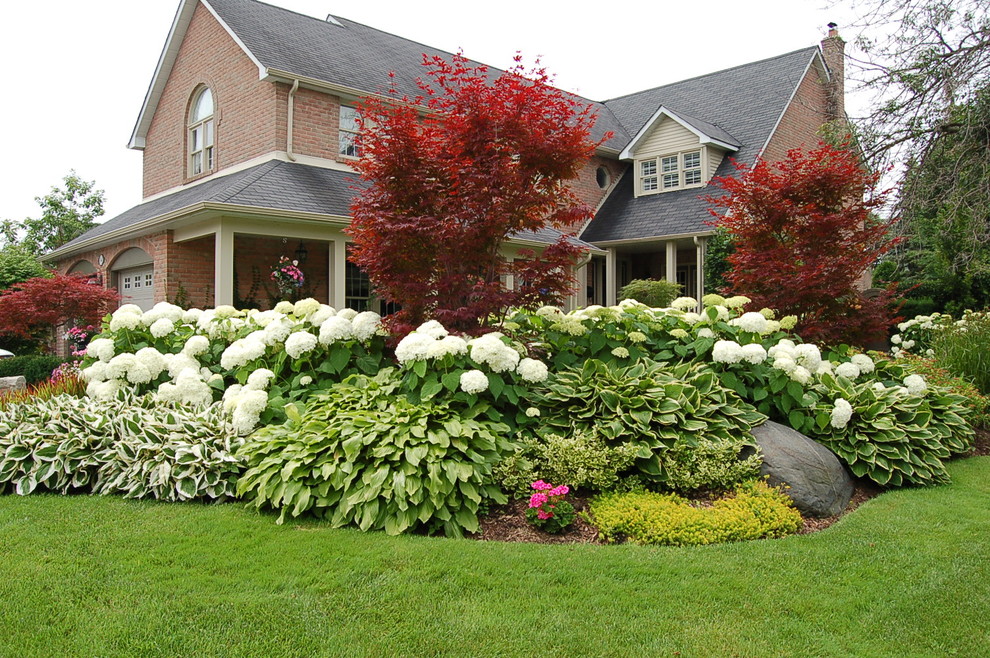 Corner lot design bold and beautiful - Transitional - Landscape ...