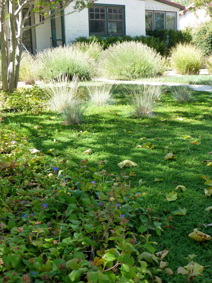 Country Club area - Eclectic - Landscape - Albuquerque - by Waterwise ...