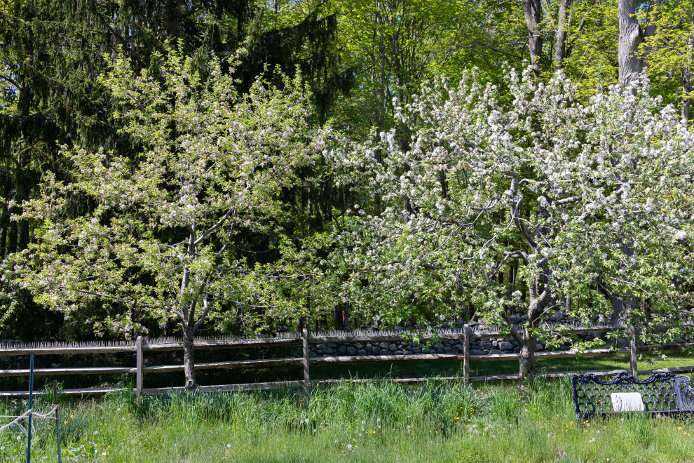 Country Fruit Tree Pruning - Farmhouse - Landscape - New York - by Les ...