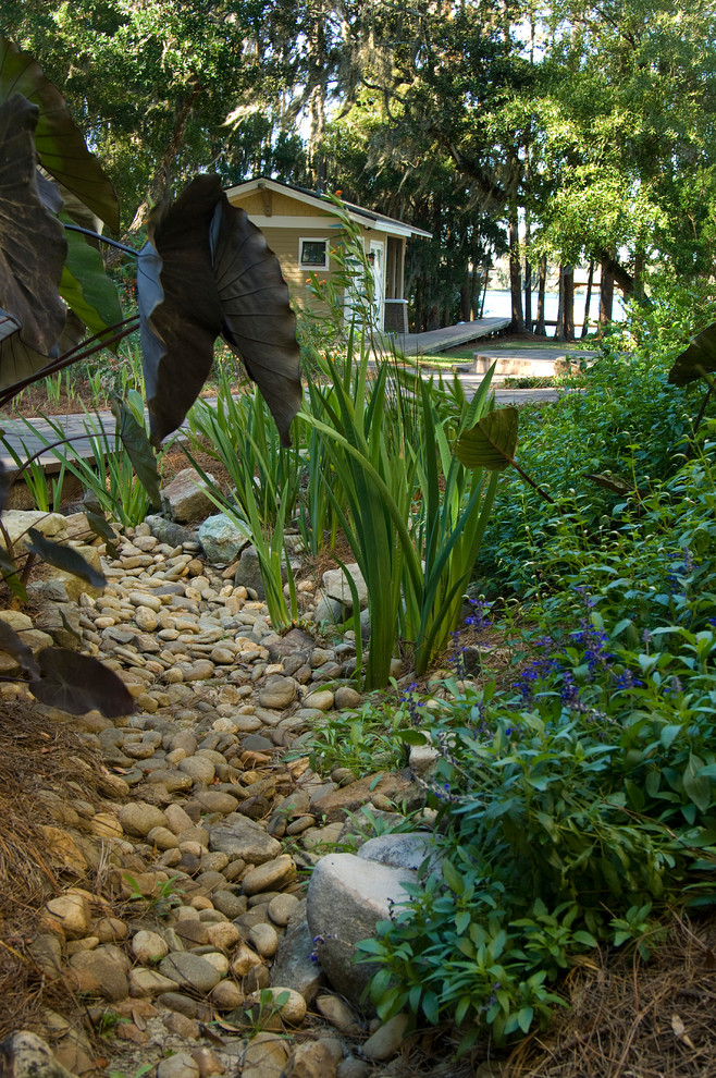 Craftsman Home with Nature Calling - Craftsman - Landscape - Tampa - by ...