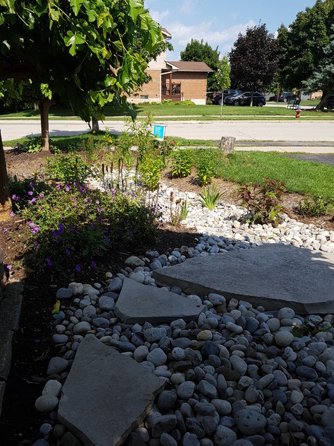 Creating a Front Yard Rain Garden in Waterdown - Éclectique - Jardin ...