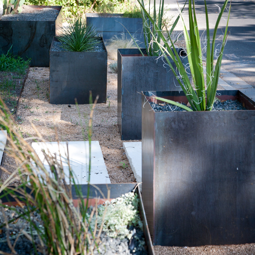Crestview - Modern - Landscape - Austin - by Native Edge Landscape | Houzz