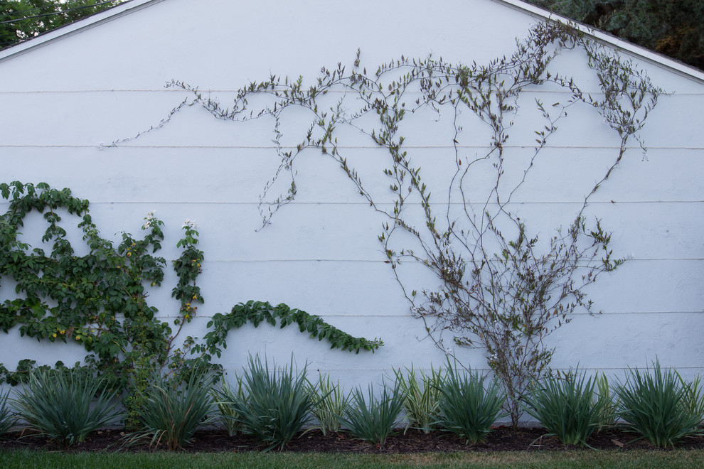 Culver City Modern Classic - Modern - Landscape - Los Angeles - by June ...