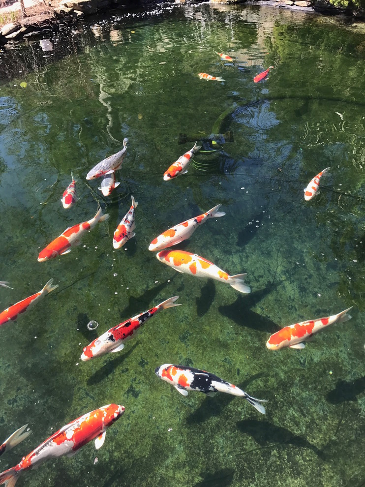 Custom Filtration System - Traditional - Landscape - New York - by AH ...