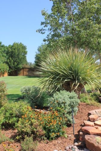 South West Landscape Design Dallas How To Create A Southwestern Desert