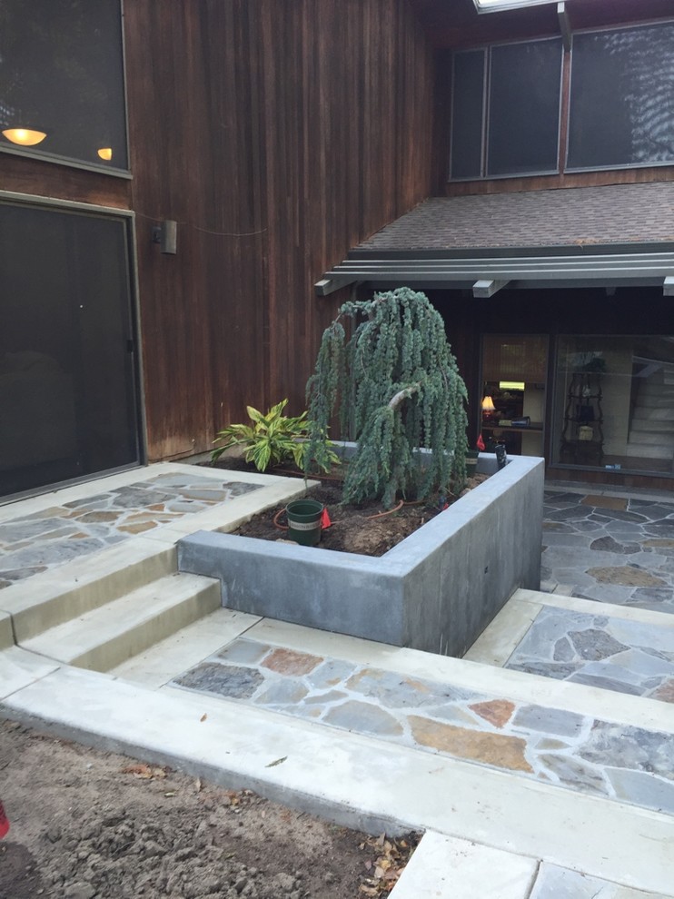 Custom Yard Design - Contemporary - Landscape - Sacramento - by V ...