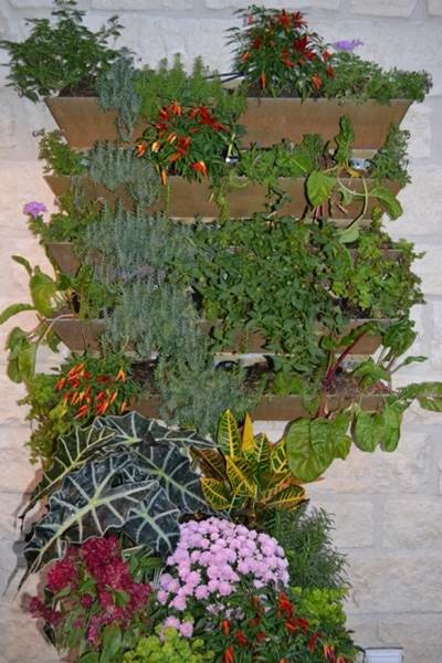 Dallas, Texas – Private Rustic Estate - Rustic - Landscape - Dallas ...