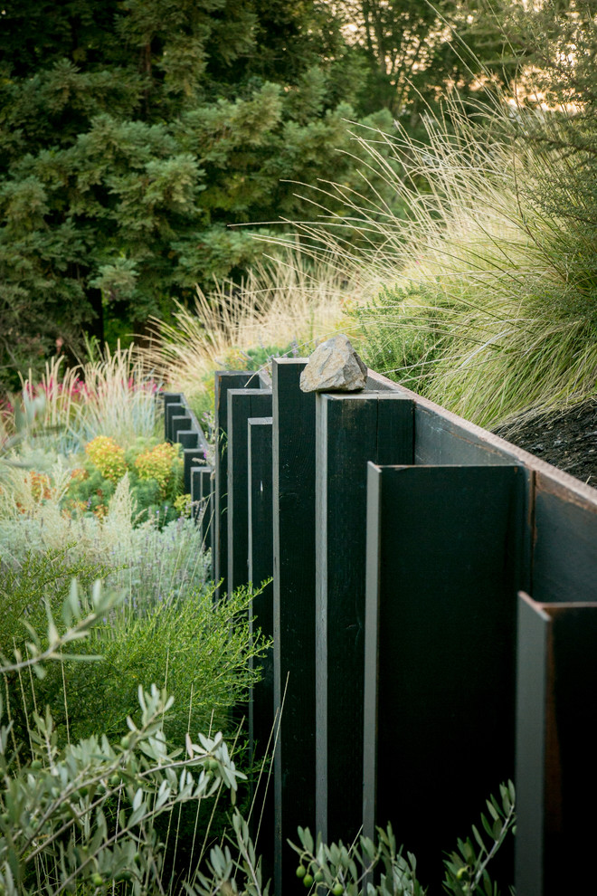 Danville - Contemporary - Landscape - San Francisco - by Envision ...