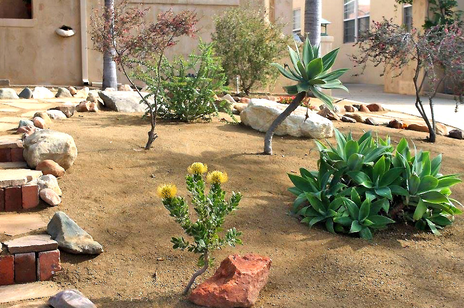 Decomposed Granite-DG Drought-tolerant Design - Traditional - Landscape ...