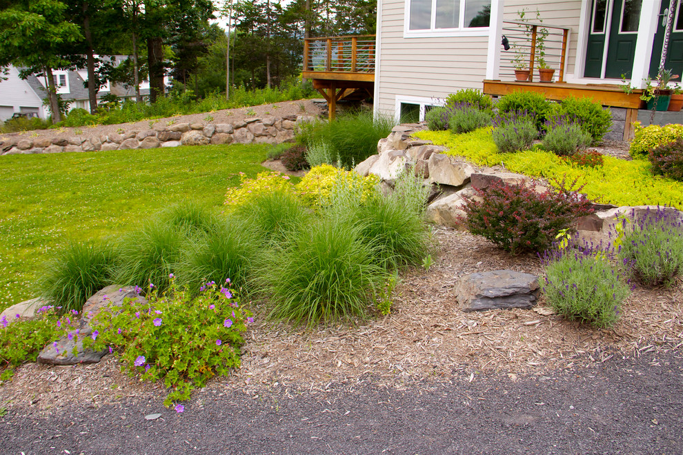 Deer Resistant Gardens - Traditional - Landscape - New York - by Bloom ...