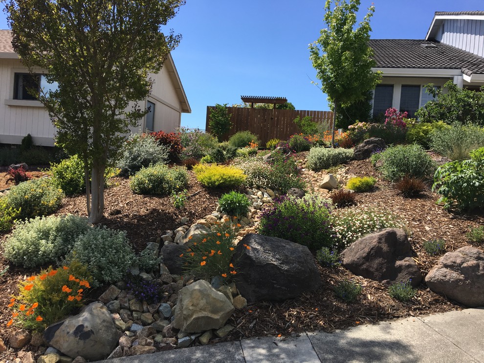 Deer Resistant Landscape - Rustic - Landscape - San Francisco - by SW ...