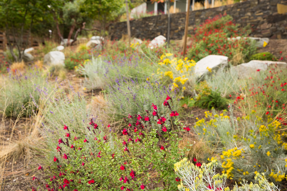 Deer-Resistant Pollinator Garden - Modern - Landscape - Other - by ...