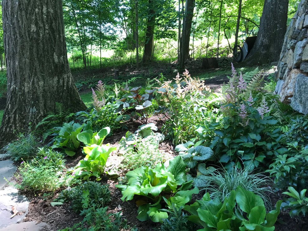 Deer resistant woodland garden - Contemporary - Landscape - New York ...