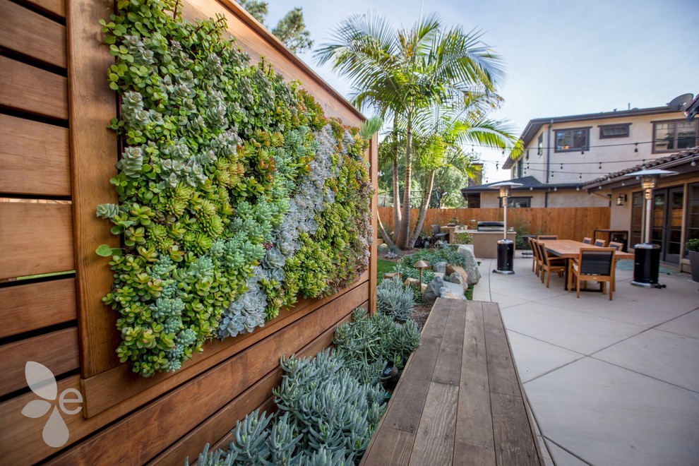 Del Mar 5 - Backyard Landscape Design - Living Green Wall - Landscape ...