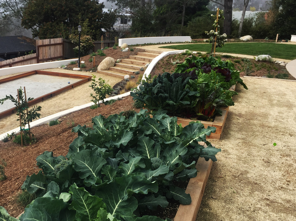 Del Mar Natural Modern Landscape - Contemporary - Landscape - San Diego ...