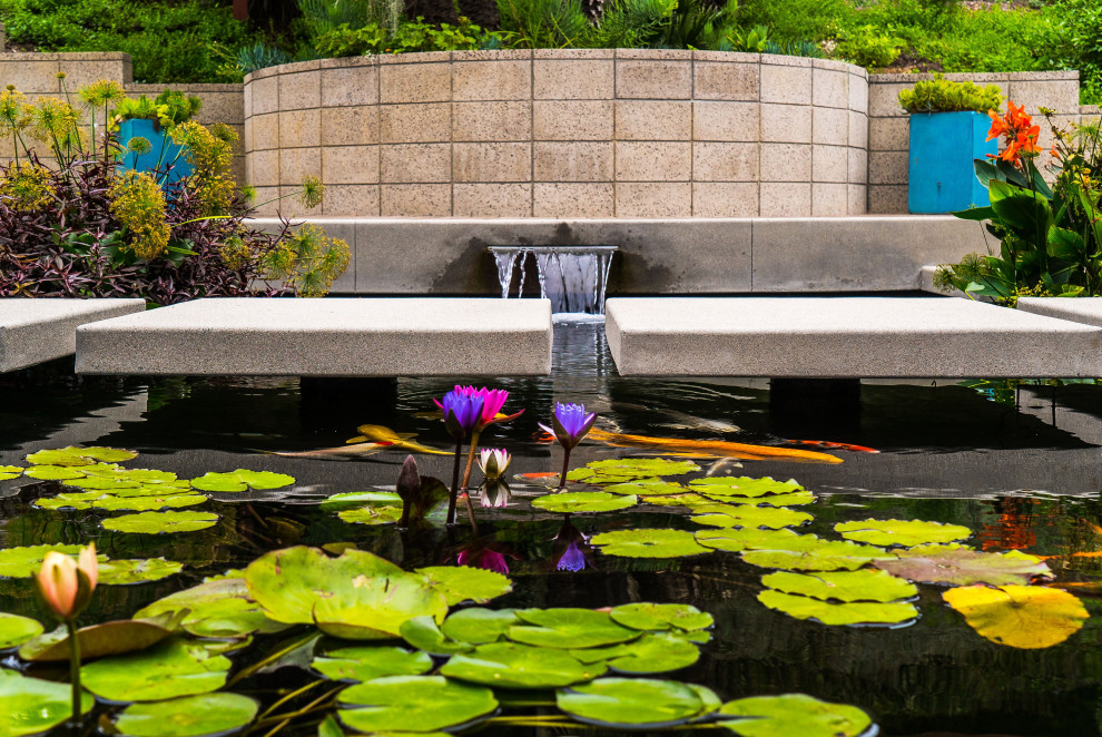 DEL MAR PERCH - Modern - Landscape - San Diego - by Max Vedder Land ...