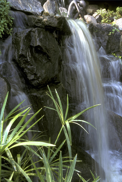 descend-waterfall - Traditional - Garden - Chicago - by Kane Brothers ...