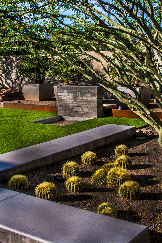 Desert Contemporary - Phoenix AZ - Modern - Garden - Phoenix - by ...