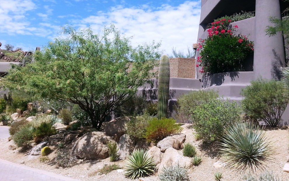 Desert Highlands I - Contemporary - Landscape - Phoenix - by Merit ...