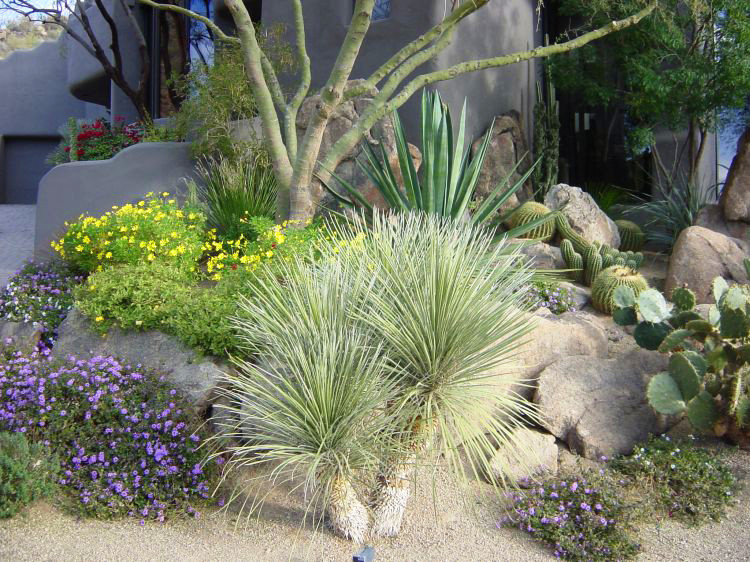 Desert Landscapes - Southwestern - Landscape - Phoenix - by Trademark ...