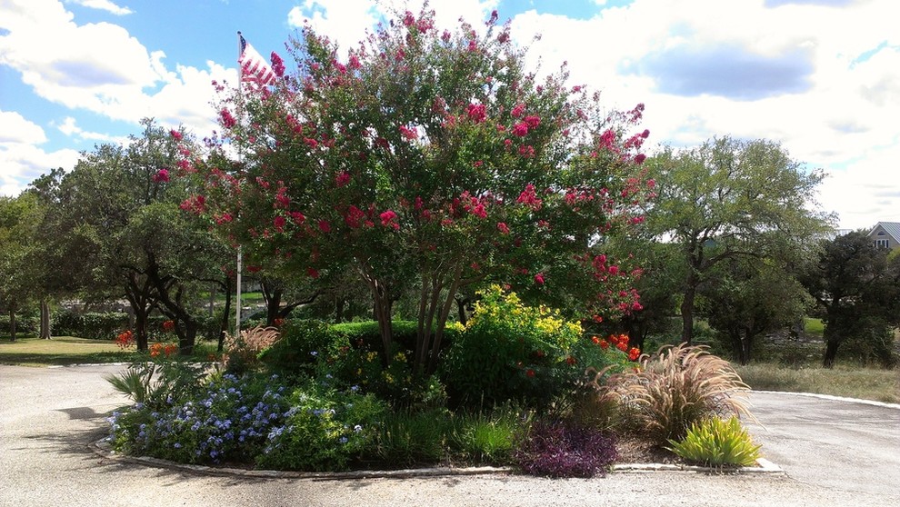 Design and Installation - Transitional - Landscape - Austin - by ...