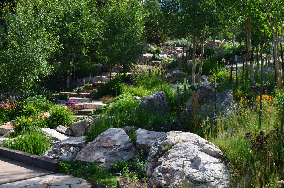 Design - Build Mountain Home Landscape in Summit County, CO - Landscape ...