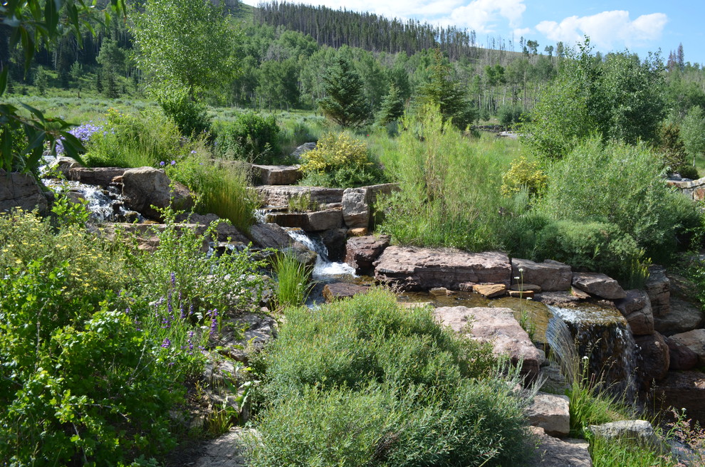 Design - Build Mountain Ranch Landscape in Summit County, CO ...