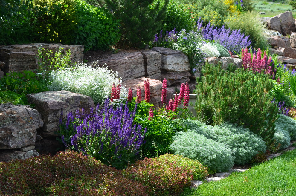 Design - Build Mountain Ranch Landscape in Summit County, CO ...