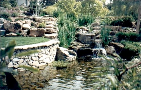 Design Build: RSF Cascading Waters - Traditional - Landscape - San ...