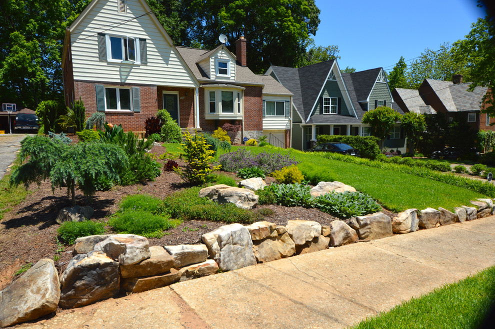 Front yard renovation continued - Traditional - Landscape - Atlanta ...