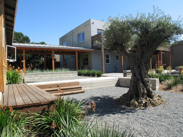 Details - Modern - Garden - San Diego - by Grounded - Richard Risner ...